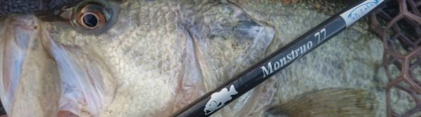 Monstruo 77 - JDM Fishing
